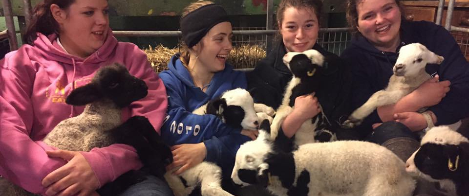 Farm Experience Day | Miller's Ark