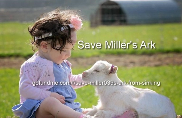 Miller's Ark | Our Charity is the UK’s first and only complete farm ...