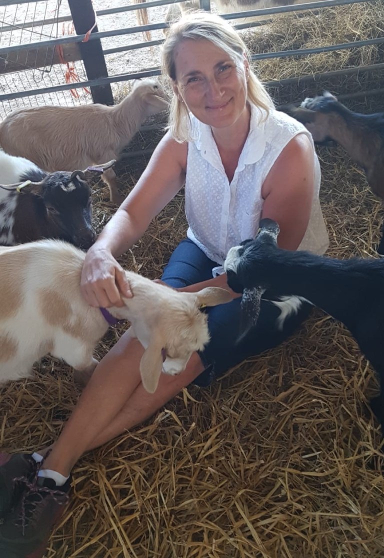 Miller's Ark | Our Charity is the UK’s first and only complete farm ...