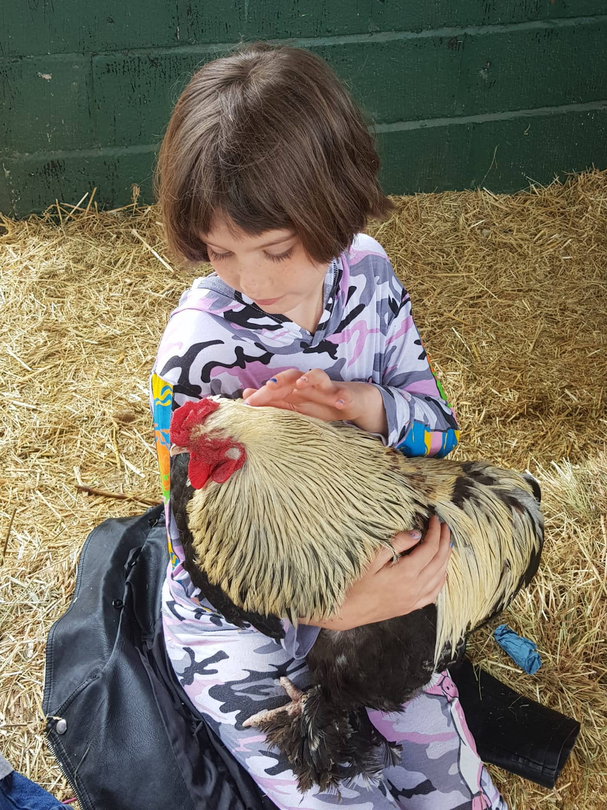 Miller's Ark | Our Charity is the UK’s first and only complete farm ...